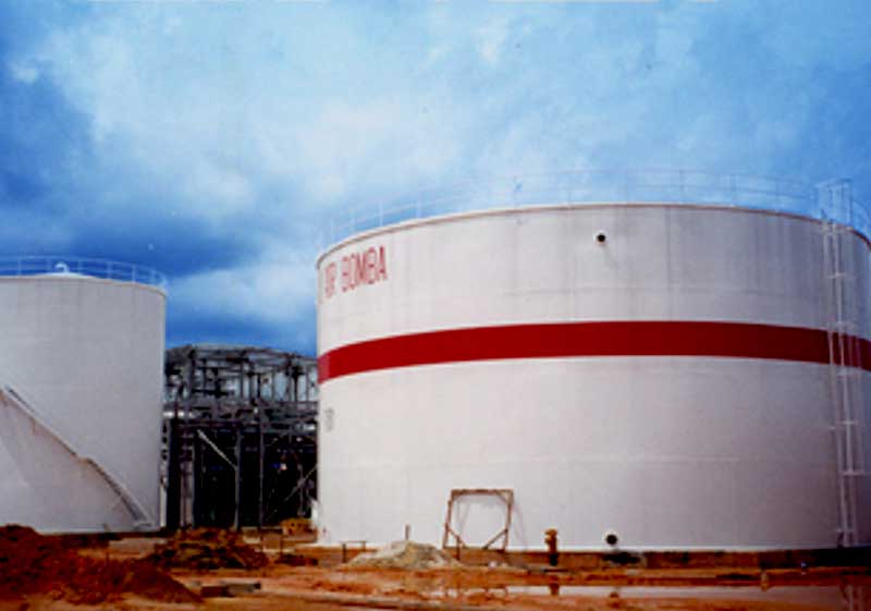 Flexsys Cap Field Erected Tanks for Flexsys CAP 2 Project for Stone ...